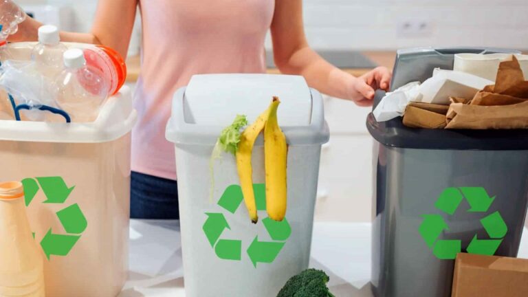 Comment trier ses déchets alimentaires Comment trier ses déchets alimentaires